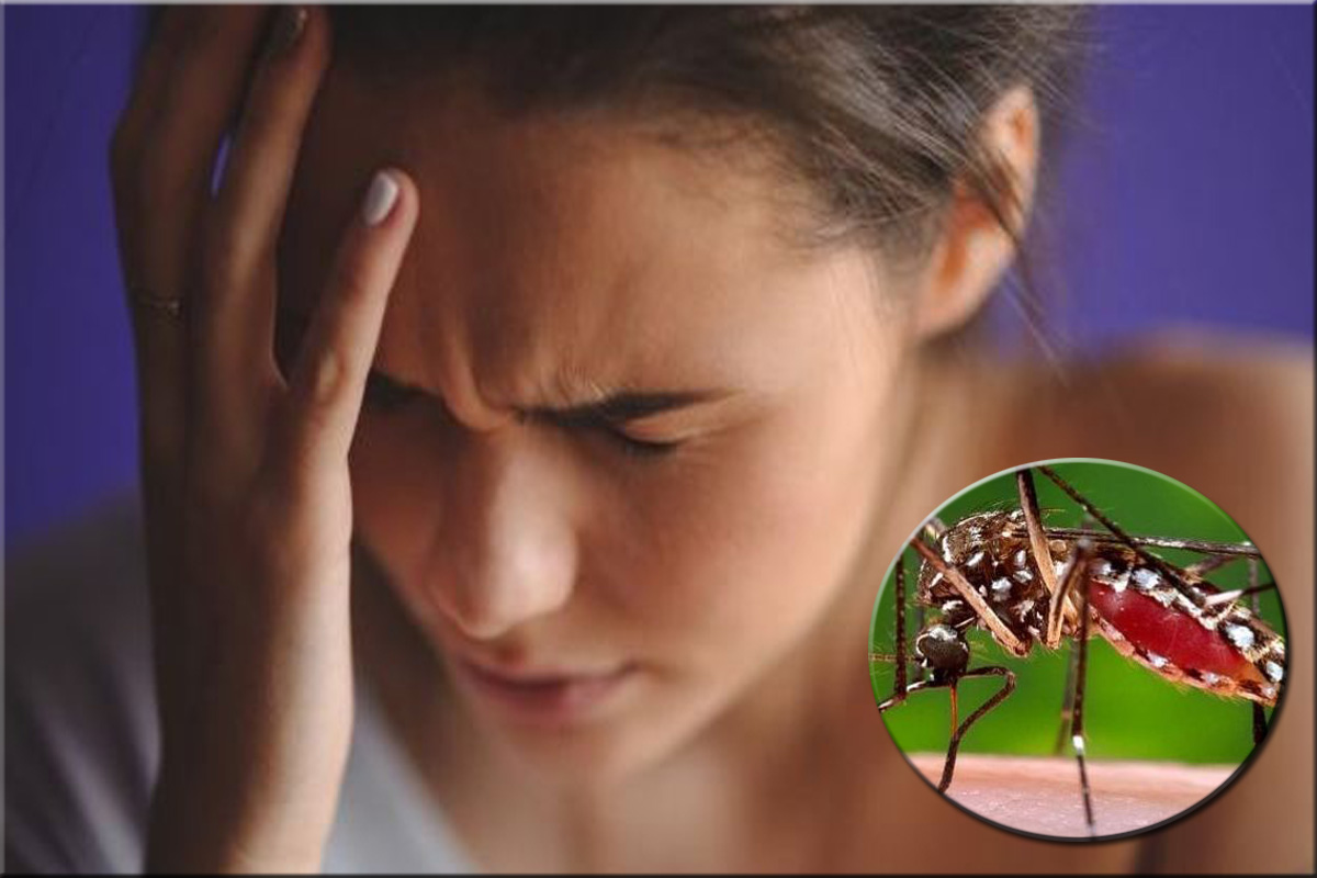 Atentos: estos los síntomas del dengue