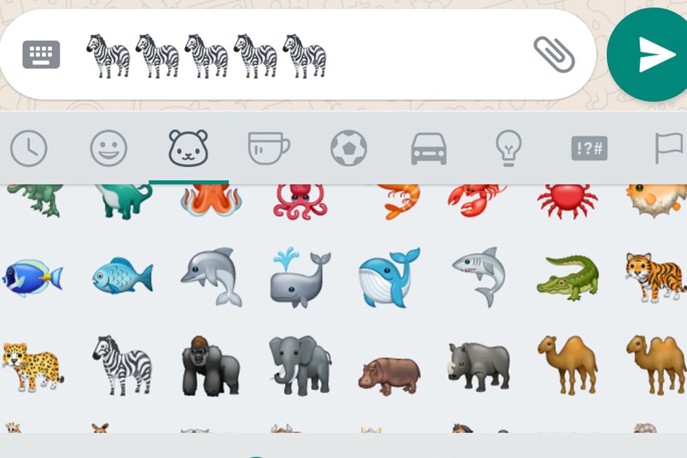 WhatsApp: ¿Por qué es tan popular compartir el Emoji de la cebra en los ...