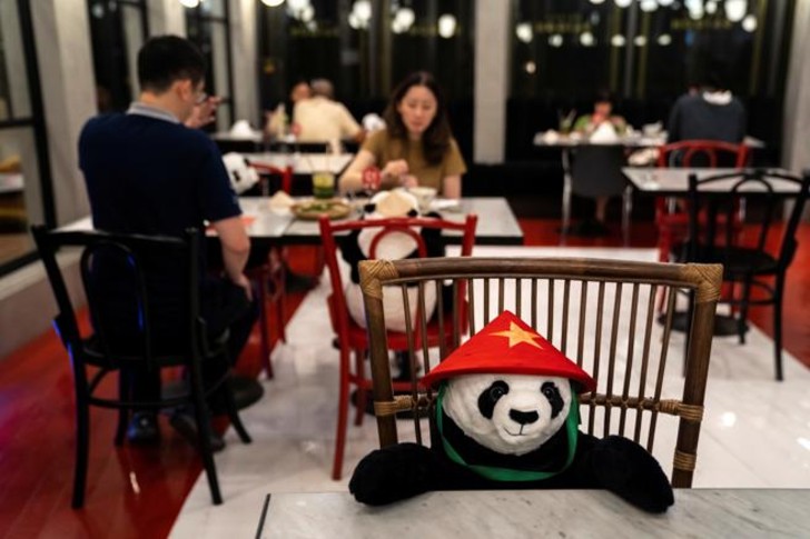 ¡Adorable! Conoce el restaurante que usa pandas de peluche para marcar ...