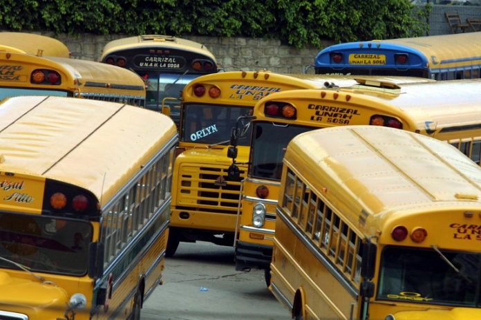 ¿Cómo podrían operar los buses urbanos y rapiditos en Honduras, en ...