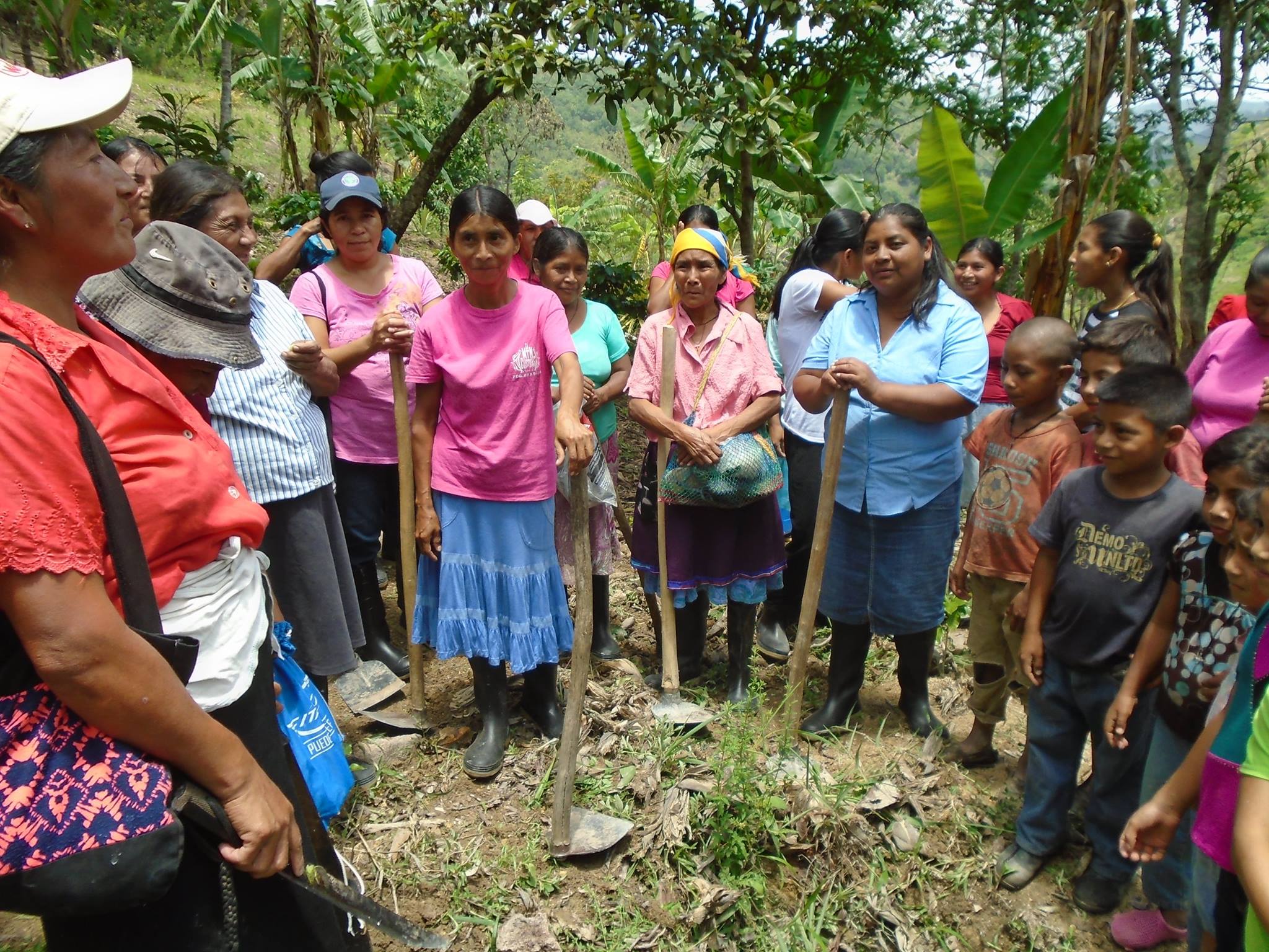 Drama: solo 1 de cada 10 mujeres lencas tiene acceso a tierras en ...