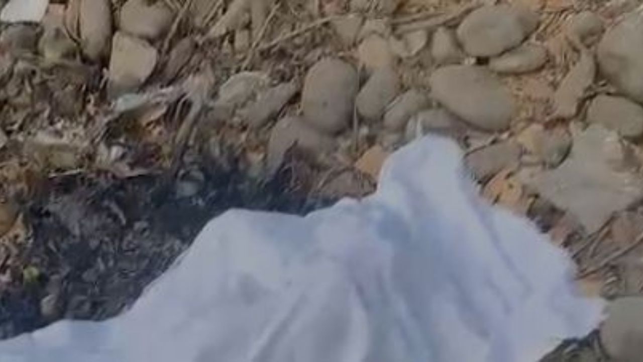 Hallan bebé calcinado en Choluteca, mira la reacción de una mujer tras ...