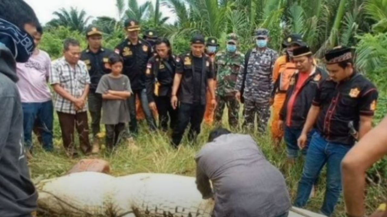 Cocodrilo de 7 metros se traga a niño de 8 años y extraen su cadáver ...