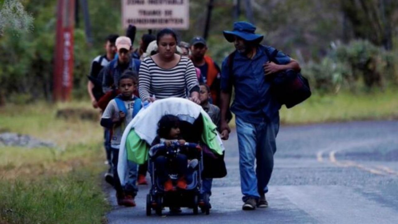 Causas De La Migracion