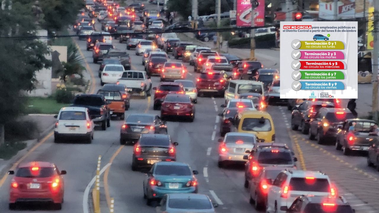 Anuncian calendario de 'Hoy No Circula' para empleados públicos | HRN