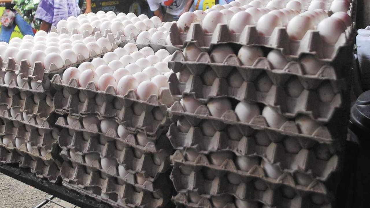 A L135 venden el huevo grande en mercados de Tegucigalpa | HRN