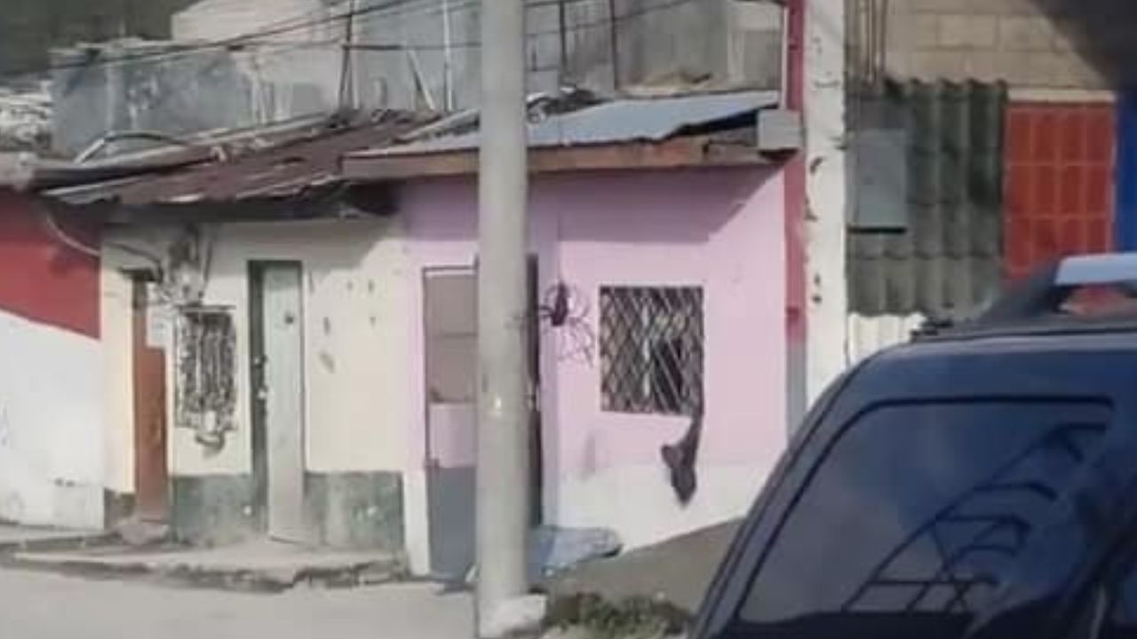 'Tenía enemistades': en persecución matan a hondureño en un comedor de ...