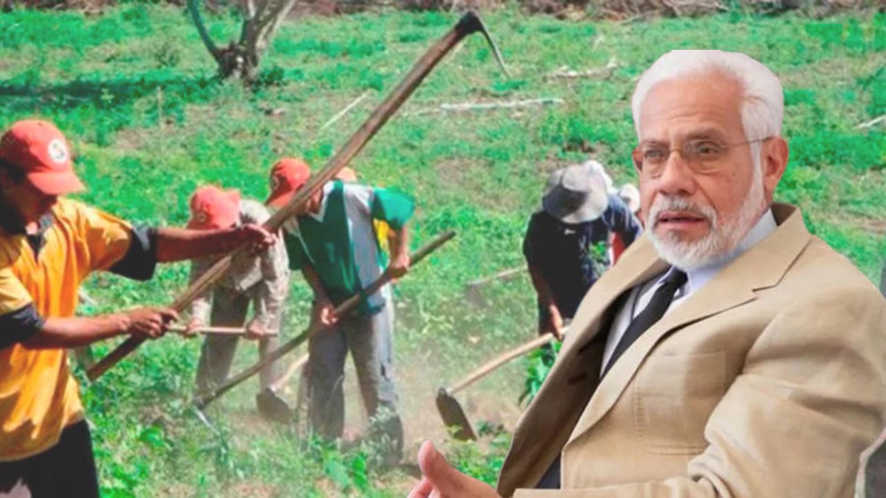 Hay que abordar integralmente la informalidad en los empleos: Efraín Díaz Arrivillaga | HRN