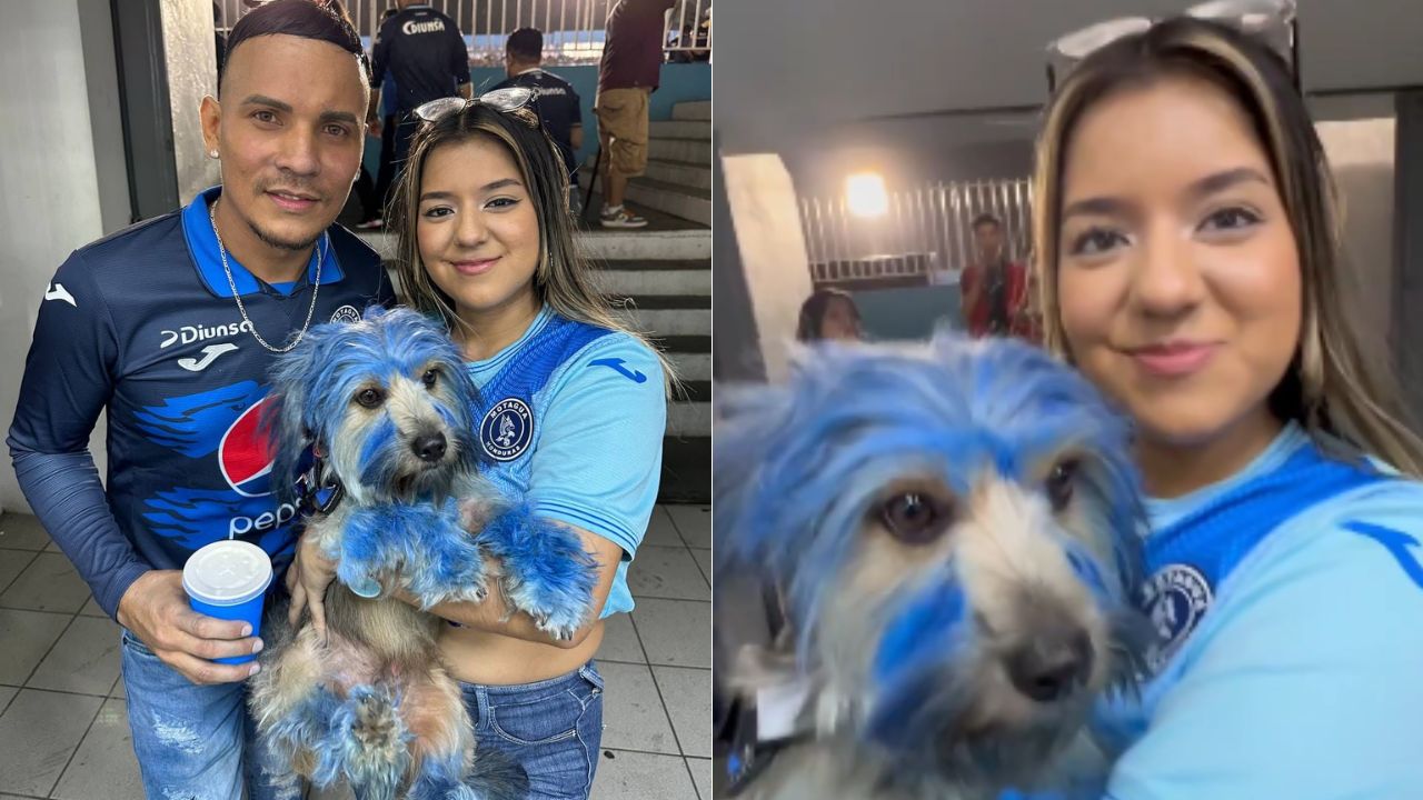 'Es 100% motagüense': Perrito 'azul' asiste al estadio para apoyar a ...