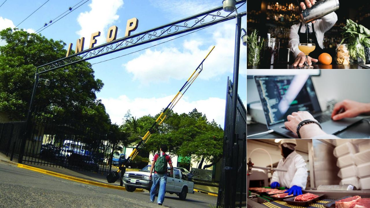 Infop anuncia más de diez cursos gratuitos que se realizarán en octubre ...