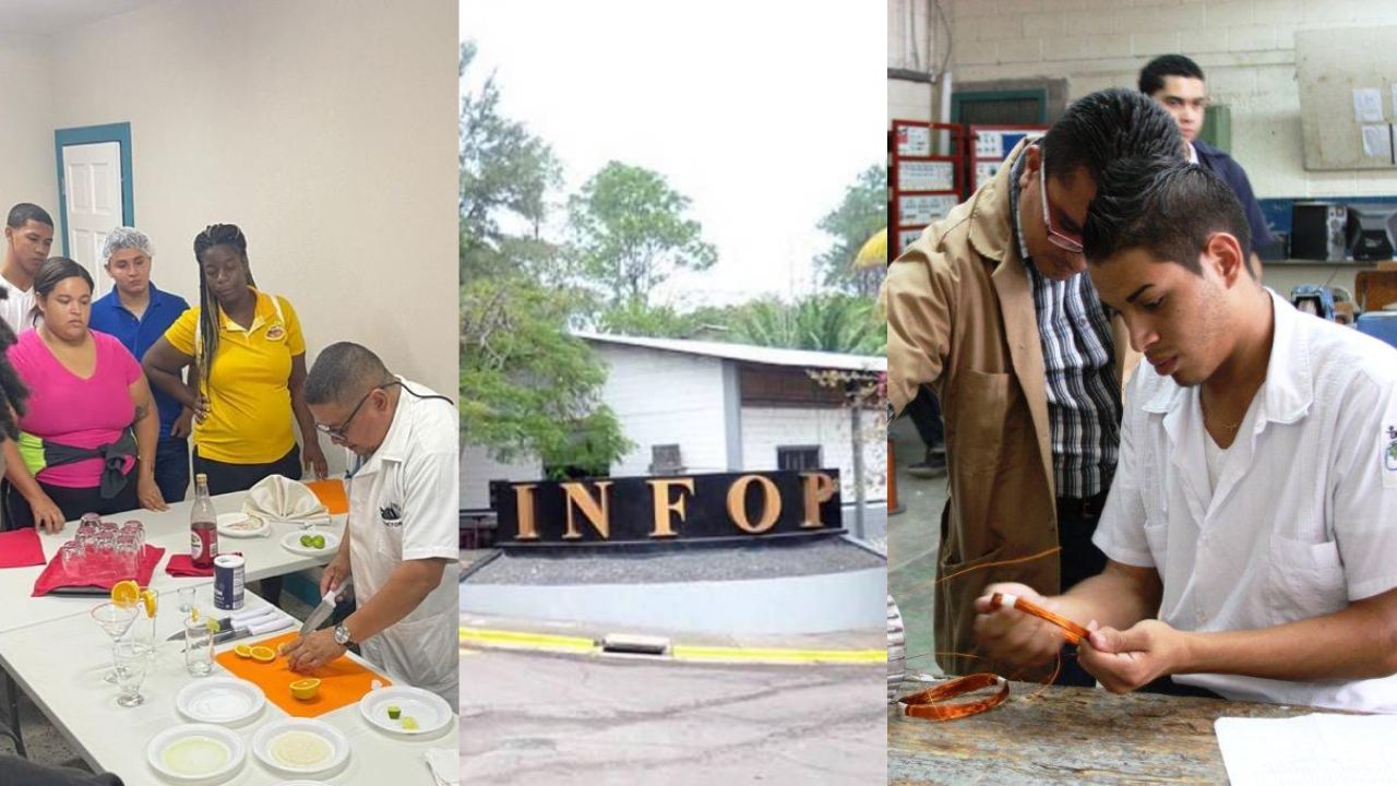 Infop ofrece nuevos cursos que iniciarán el 30 de octubre; así puedes ...