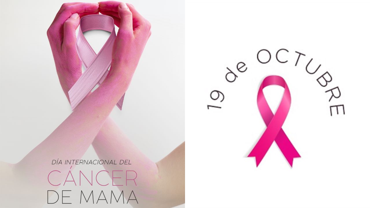 Frases del Día Mundial del Cáncer de Mama: palabras positivas e ...