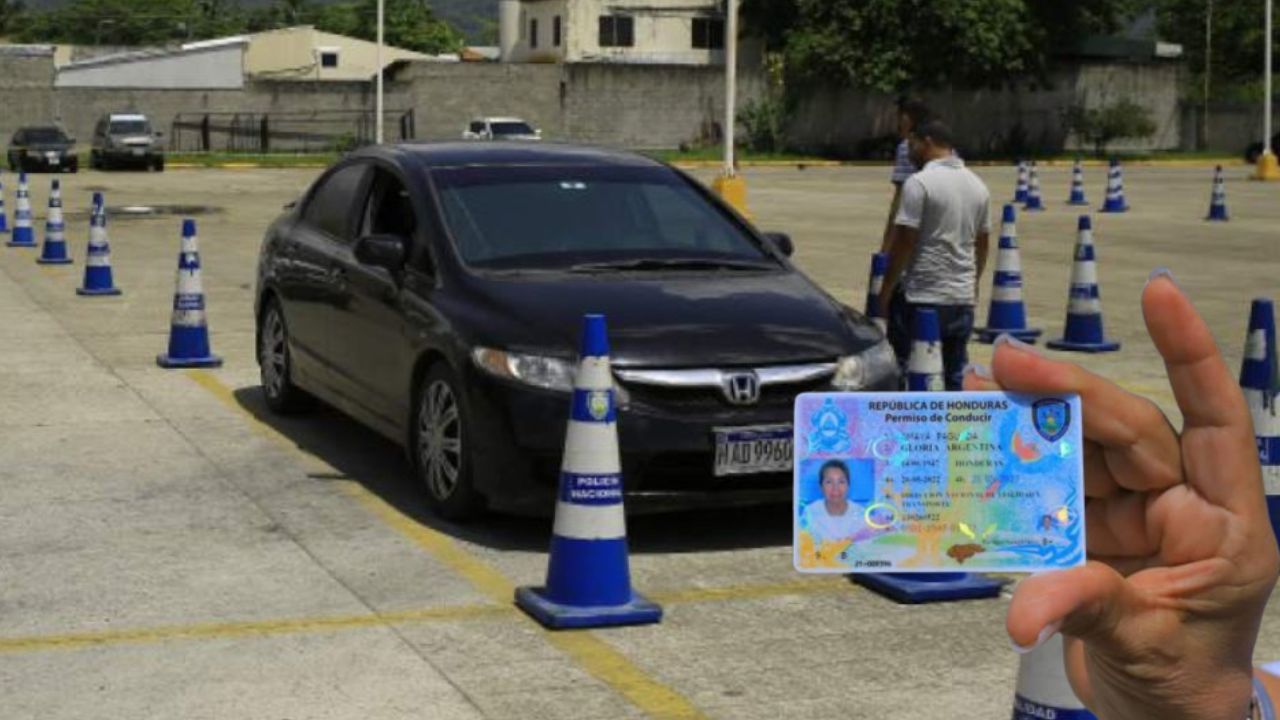 Tipos de licencia en Honduras, ¿cuáles son los permisos de conducir y ...