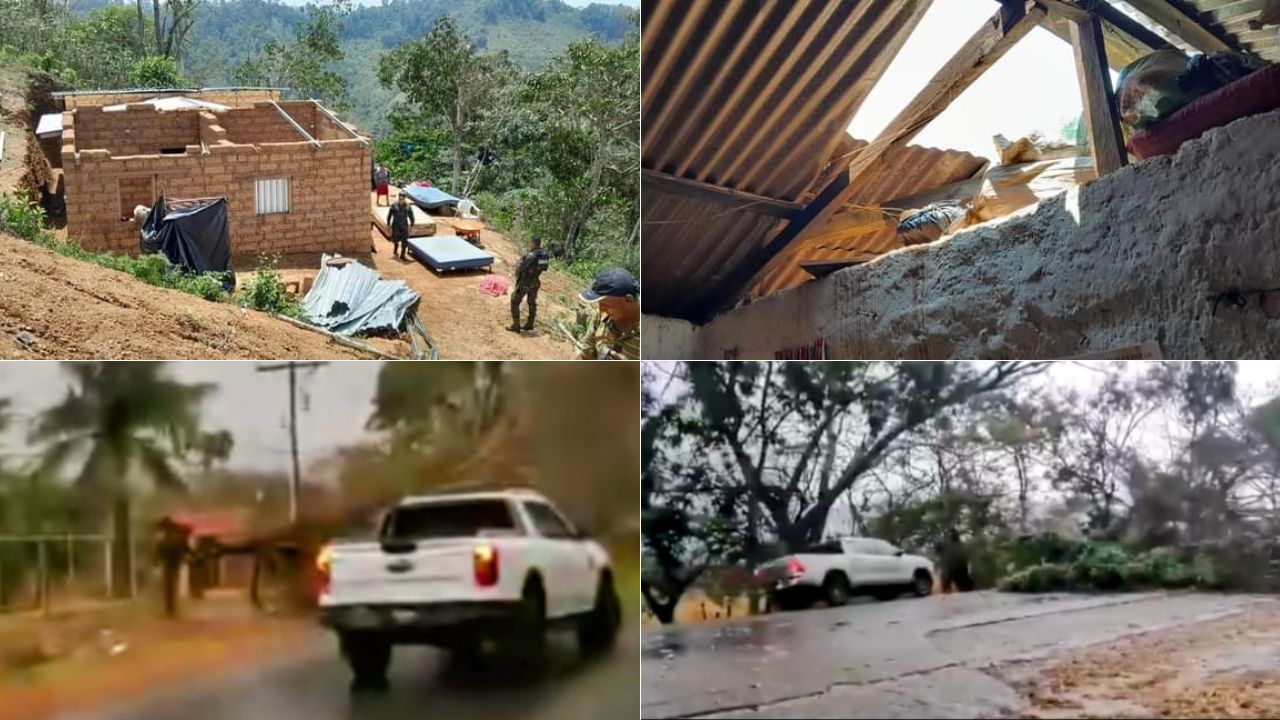 Unas 40 viviendas sin techo y un árbol caído, los daños por lluvias en ...