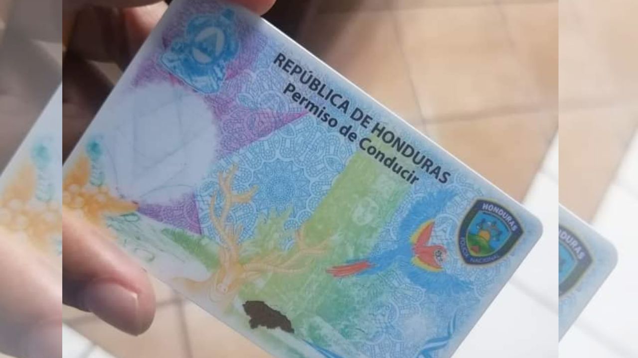Requisitos para tramitar licencia de conducir por primera vez en ...