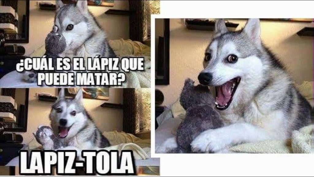 Los memes más importantes e influyentes de la década | TU NOTA