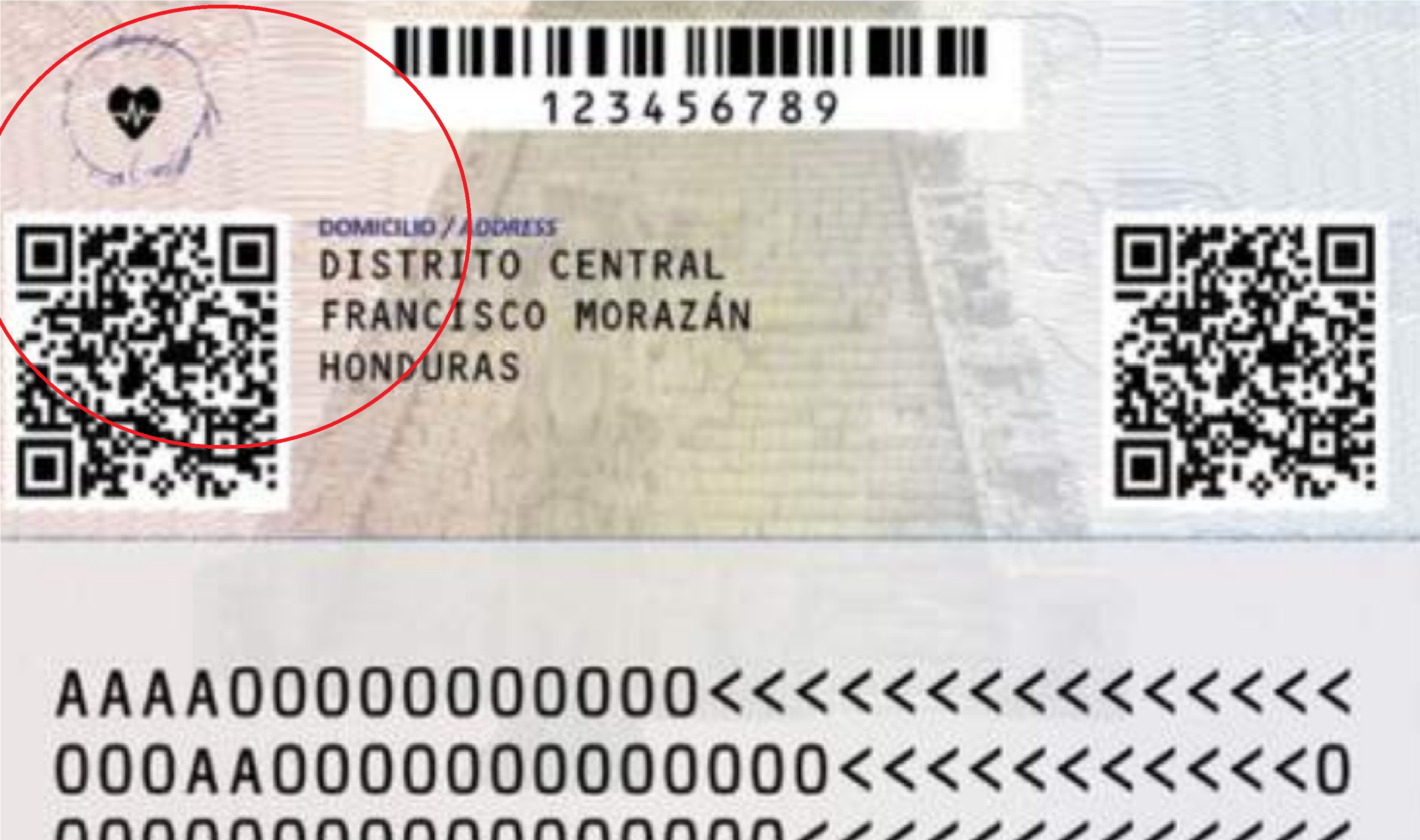 ¿Qué significa el corazón que incluye la nueva tarjeta de identidad de ...