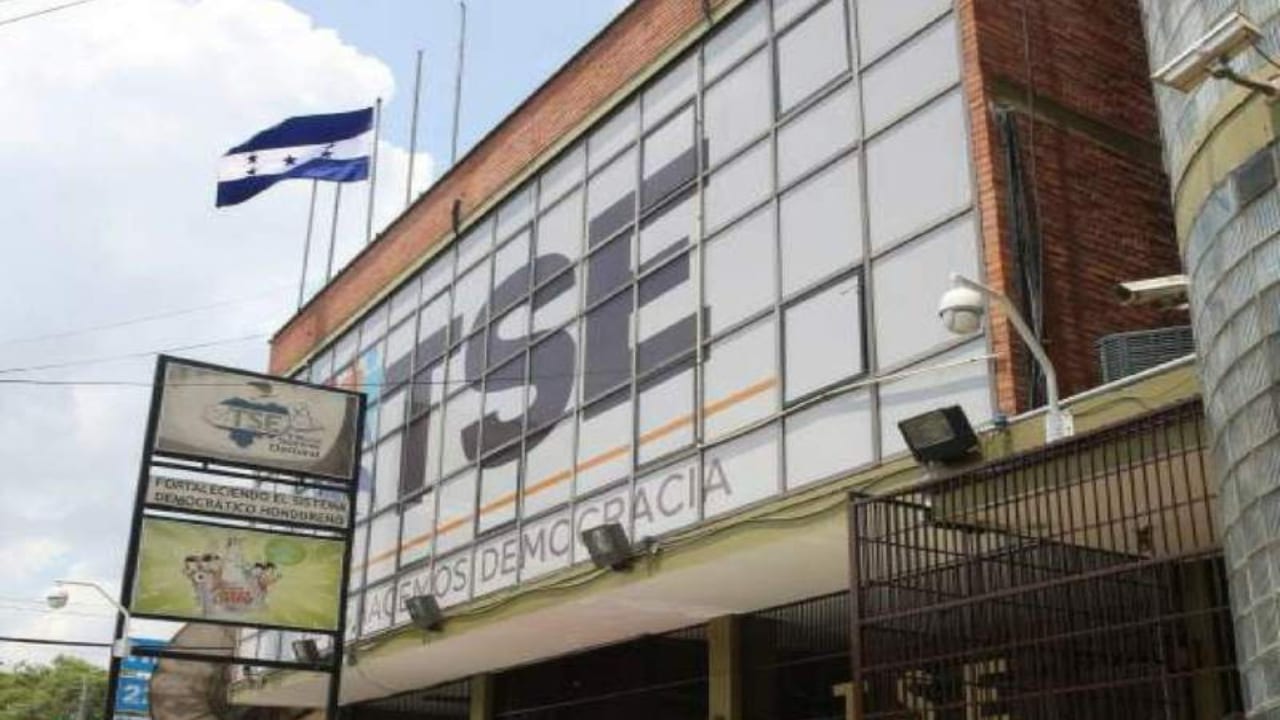 Instituto Holandés para la Democracia asegura que continúa su apoyo a ...