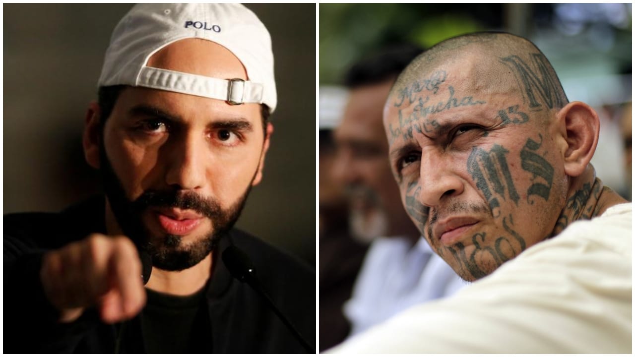 Acusan a Bukele de tener vínculos con la MS-13 y negociar reducción de ...