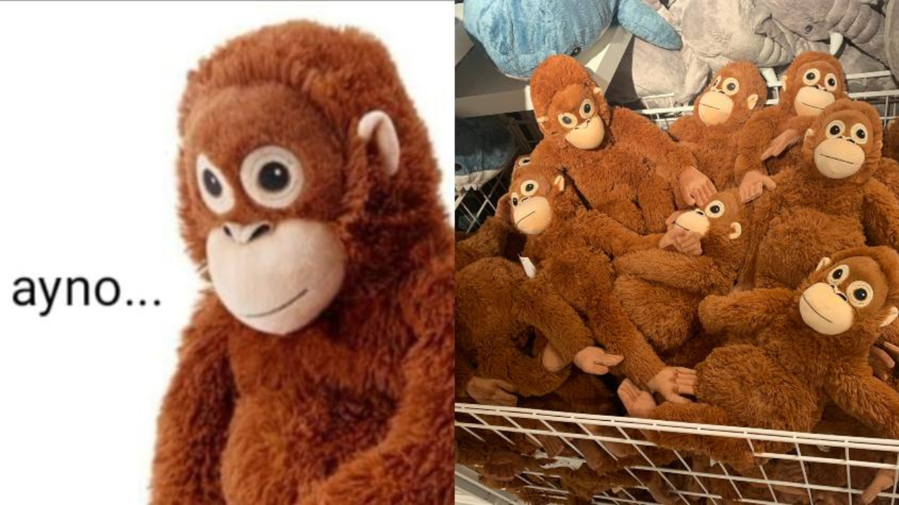 ¿No lo sabías? Este es el insólito origen del divertido meme ‘Ay, no’