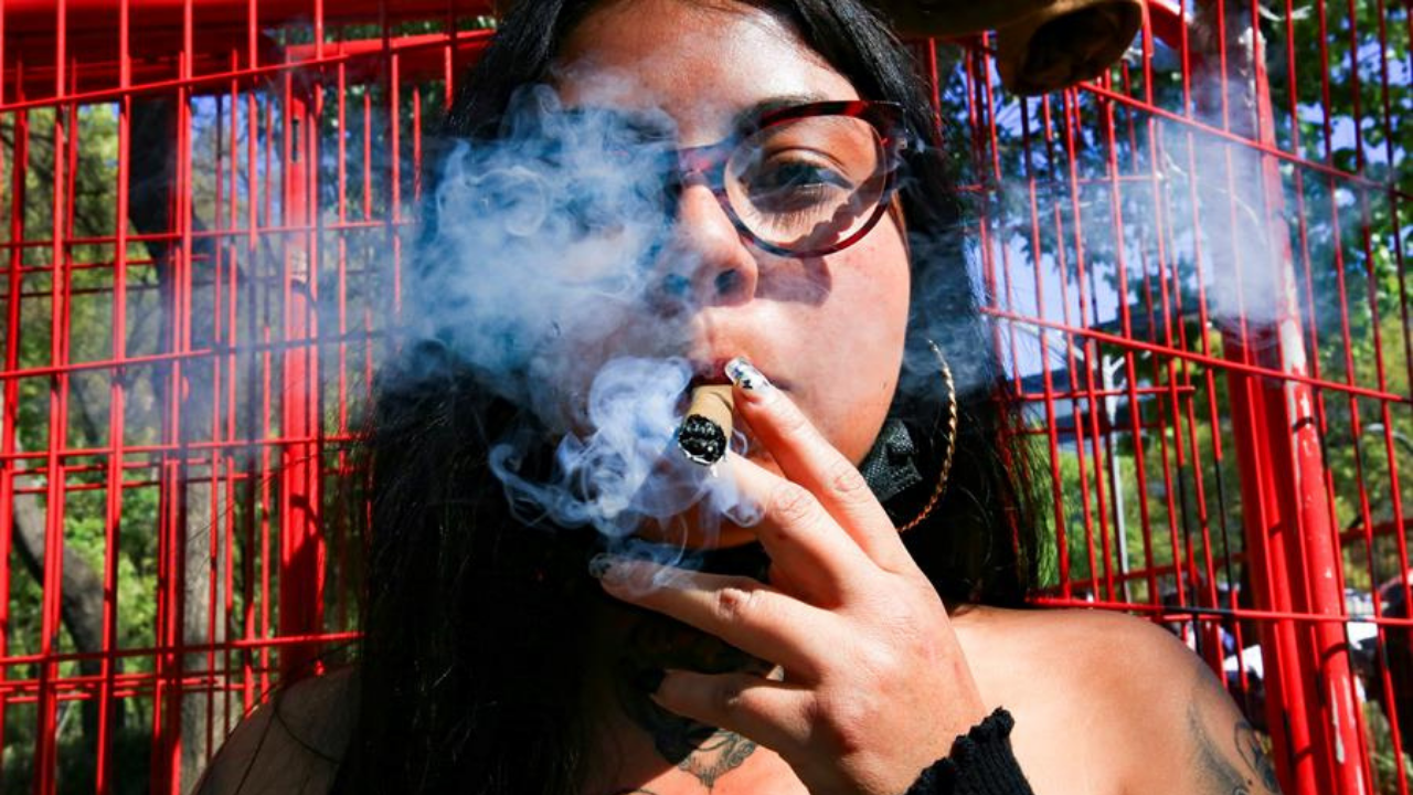 La Cámara De Diputados De México Aprueba Ley De Consumo Lúdico De Marihuana
