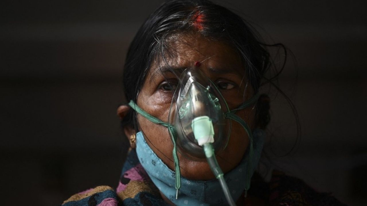 ¿Qué es el hongo negro y cómo se propaga?: 5 preguntas sobre la ...