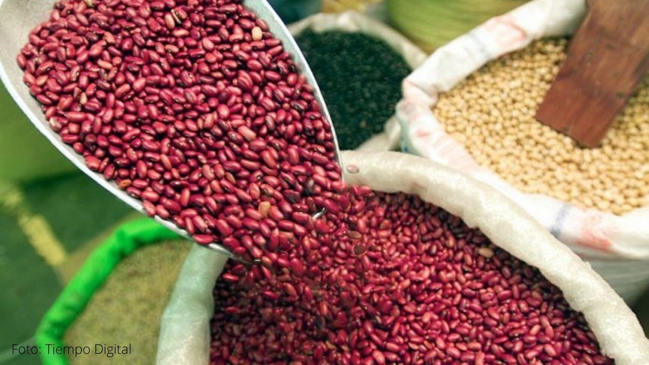 Productores advierten alza de precios en granos básicos