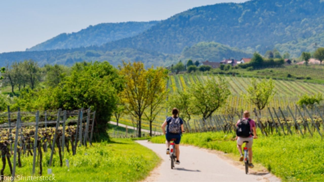 5 Consejos para practicar turismo rural y sostenible