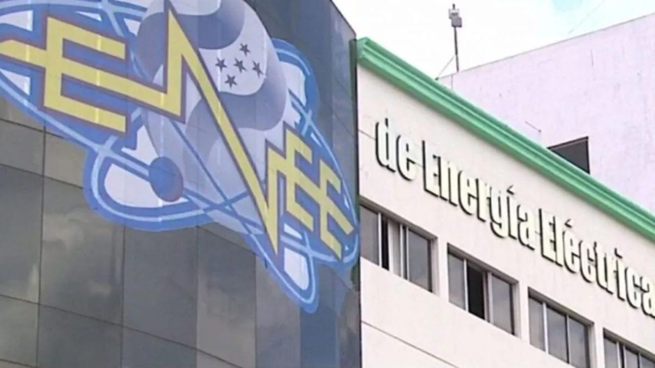 ENEE registra hasta abril ingresos de L 11 mil millones, mora de ...