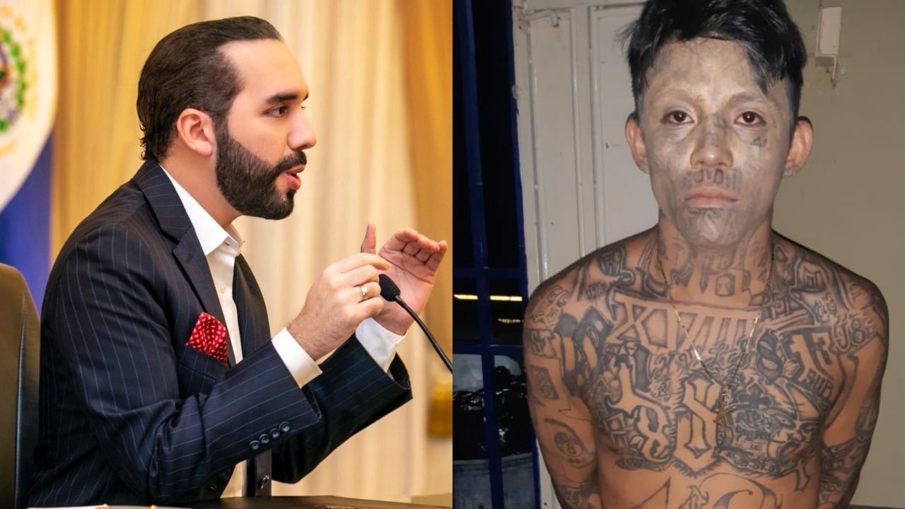 Bukele asegura que las pandillas tratan de 'evolucionar hacia una ...