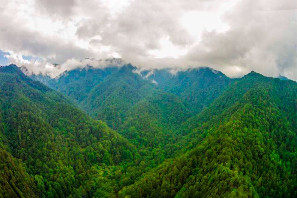 Montaña Más Alta De Honduras Una Joya Natural Dentro Del Parque