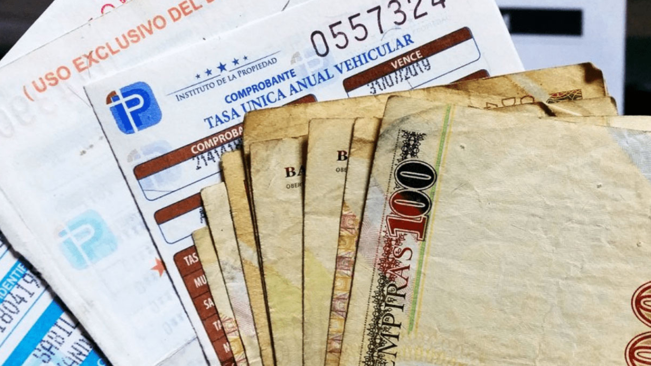 Tasa única anual vehicular, ¿cómo saber cuánto debo pagar?