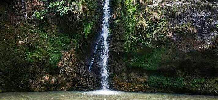 Reservas naturales de Honduras, ¿Cuáles son las principales zonas ...