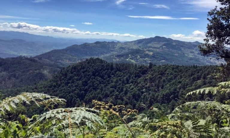 Reservas naturales de Honduras, ¿Cuáles son las principales zonas ...