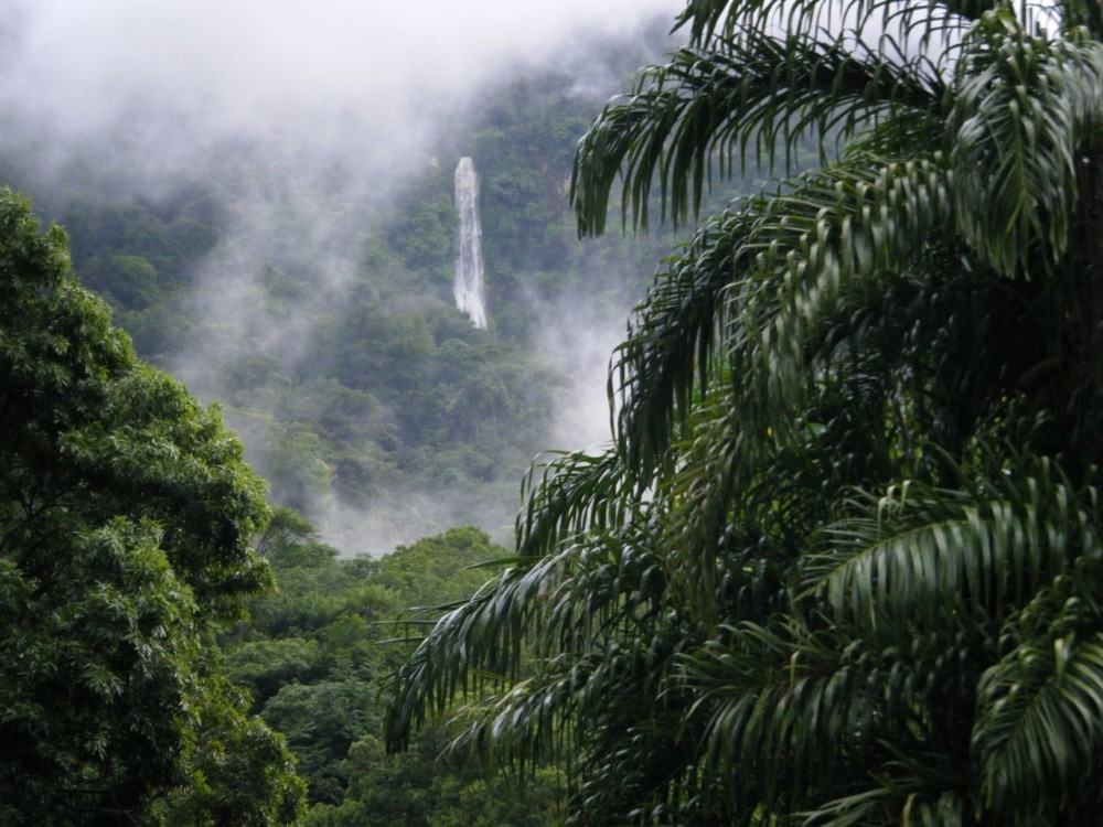 Parque Nacional Pico Bonito, una montaña de Honduras rica en ...