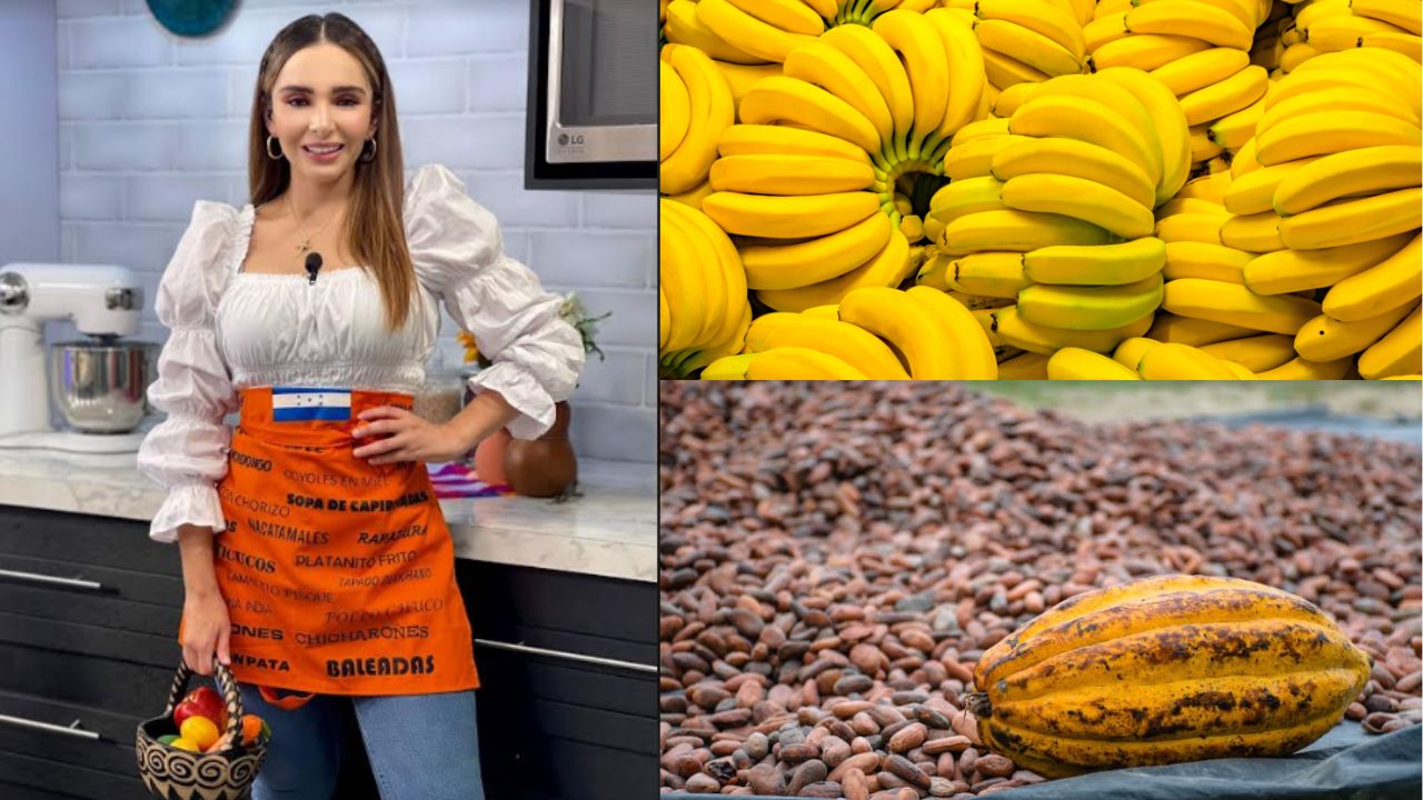 La Chef Laura Pérez te presenta las cinco estrellas de la gastronomía ...