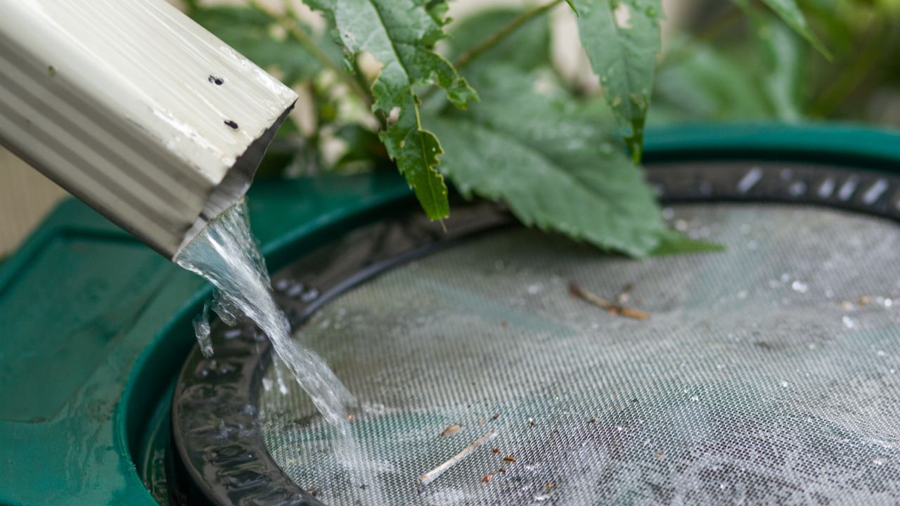 Así puedes recolectar el agua de lluvia de forma práctica desde casa