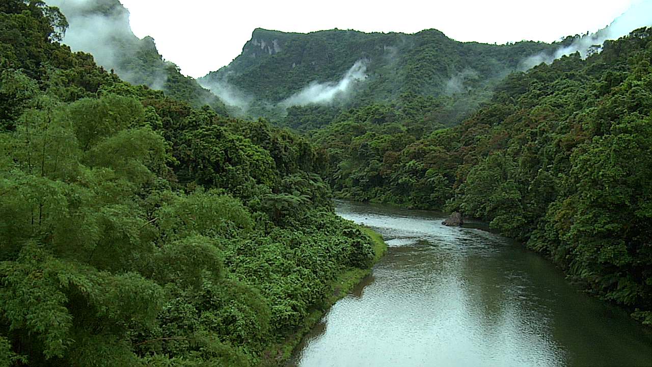 Reservas naturales de Honduras, ¿Cuáles son las principales zonas ...