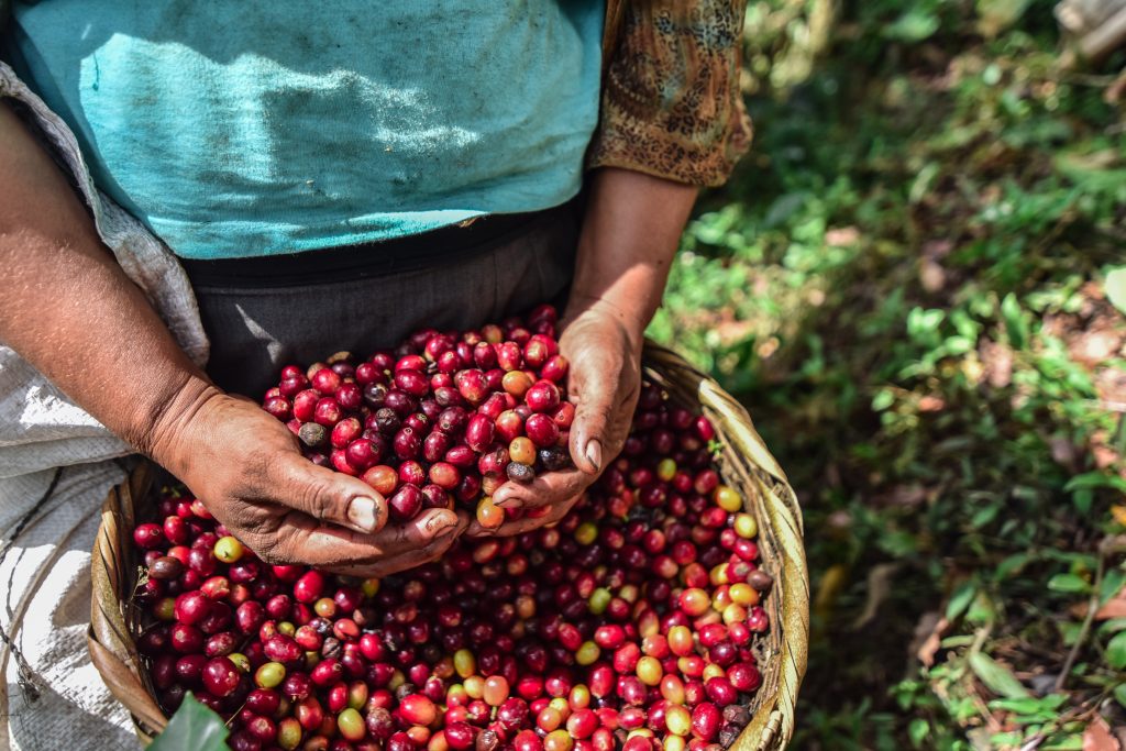 Espresso Americano: la marca líder de café en Honduras y la región