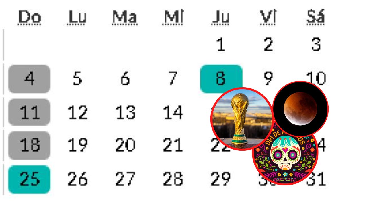 Días festivos noviembre 2022, fechas especiales y actividades para ...