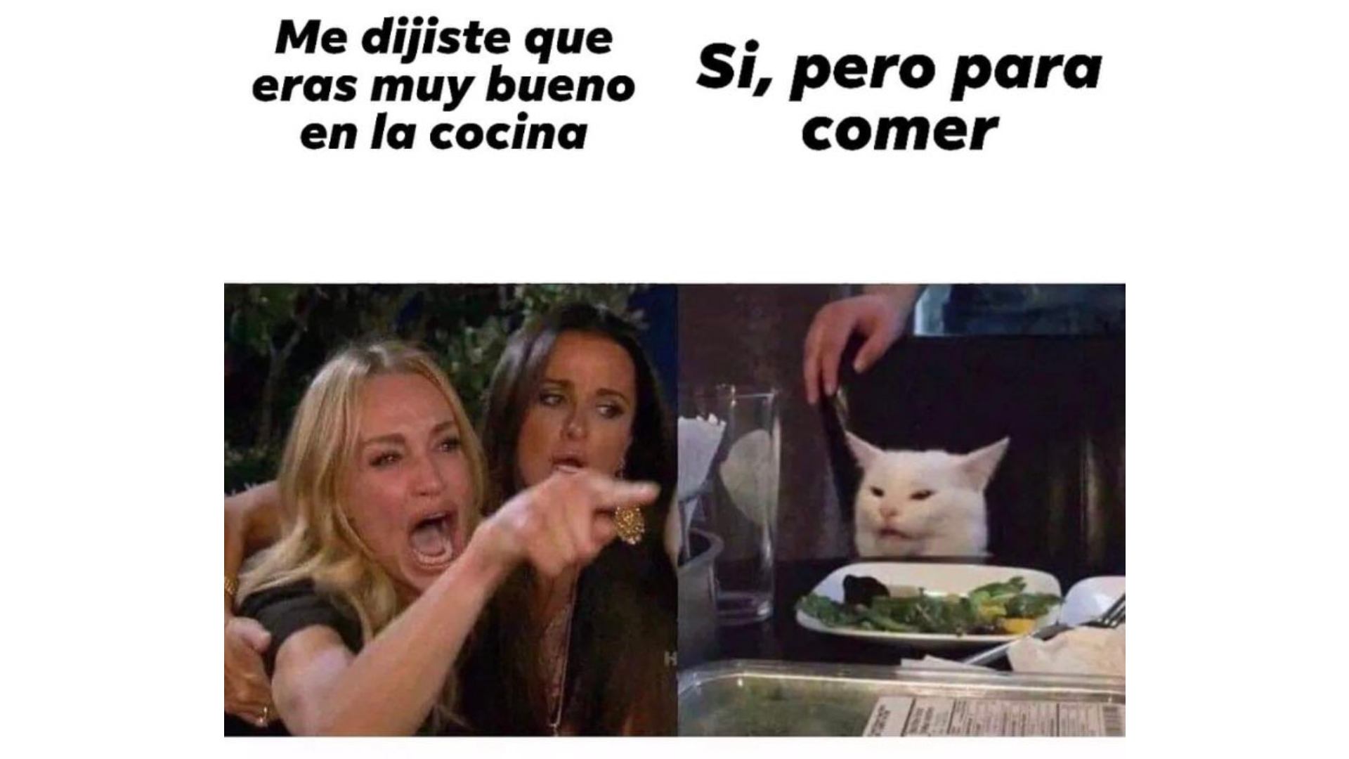 Memes del gato, estas son las divertidas imágenes del meme más viral en ...