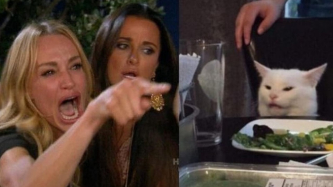 Memes del gato, estas son las divertidas imágenes del meme más viral en ...