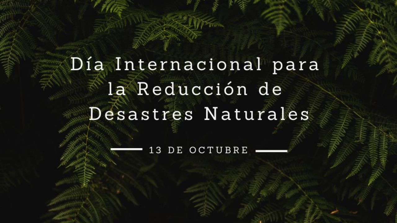 Conciencia global sobre los desastres... ¿Cómo se conmemora en Honduras?