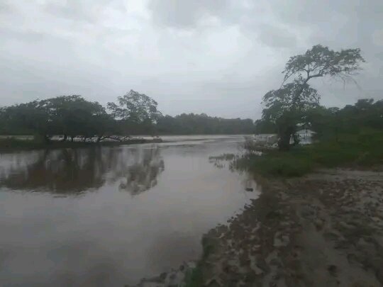 ¡Impactantes imágenes! inundadas varias comunidades de Gracias a Dios