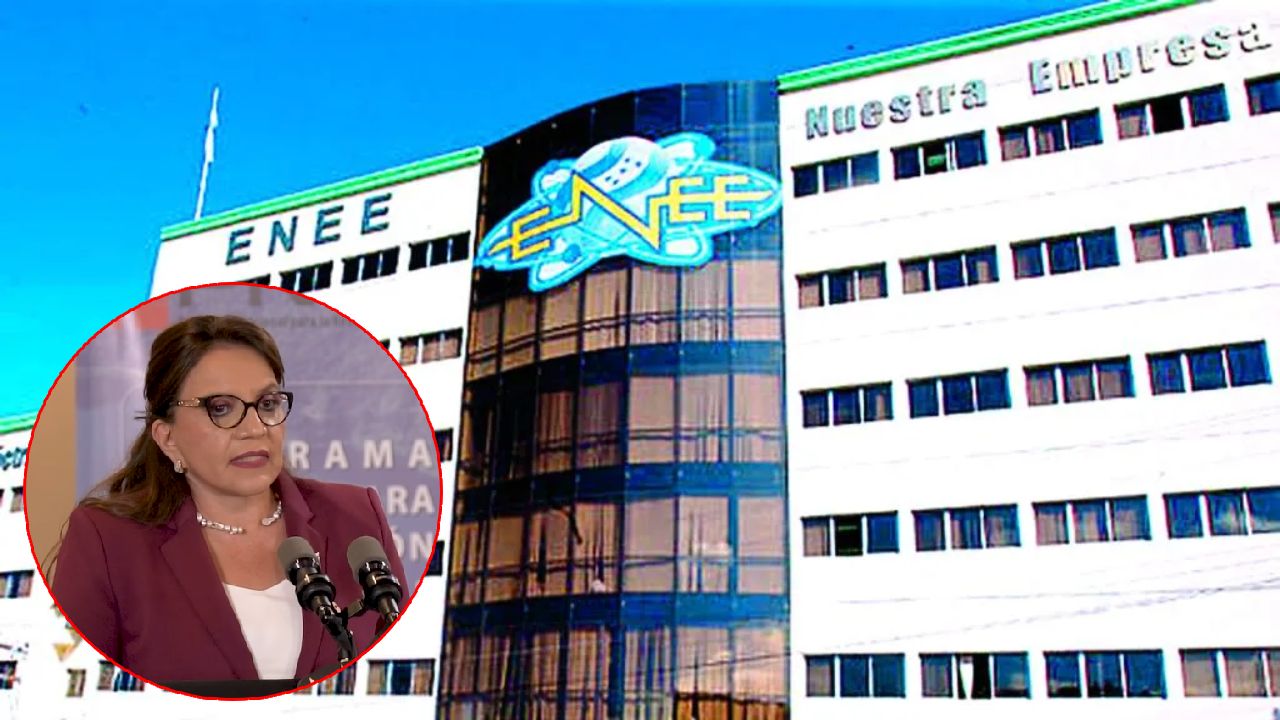 Nosotros Ramas Del Gobierno