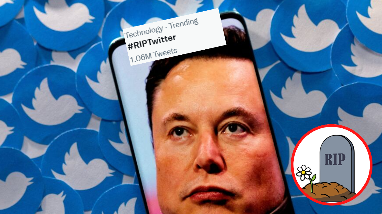 RIP Twitter tendencia, Elon Musk 'entierra' la red social tras renuncias masivas de trabajadores ...
