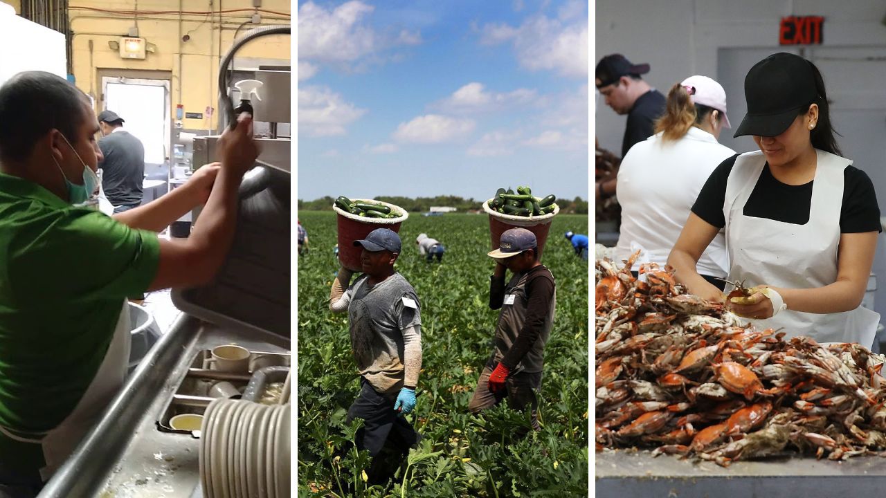 Estos son los trabajos más comunes para migrantes en Estados Unidos