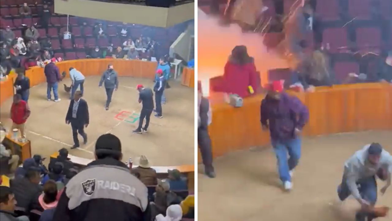 ¡Terror! Granada explota en pleno palenque, creen que fue dejada por ...