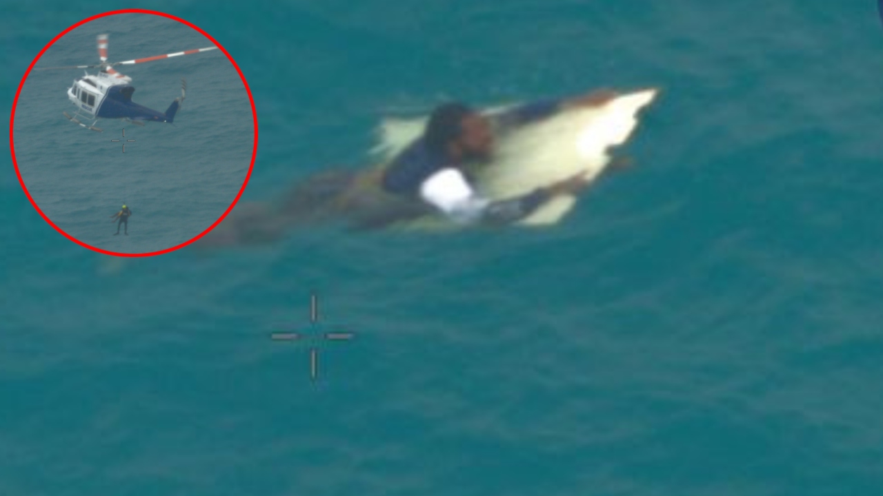 Aferrado a tabla en el mar, hombre sobrevive 24 horas entre tiburones