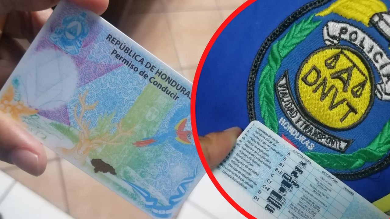 ¡Alerta! Evite caer en esta estafa al solicitar licencia de conducir en ...